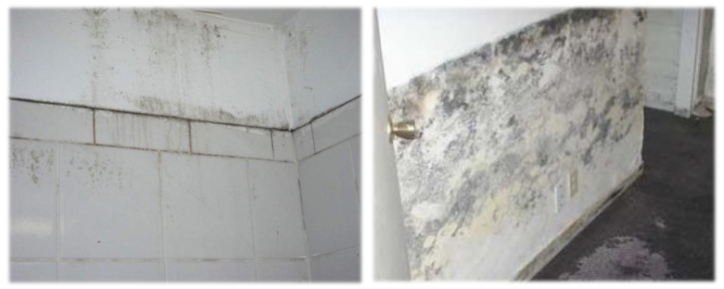 NC Moisture Control | NJ Green Building Manual
